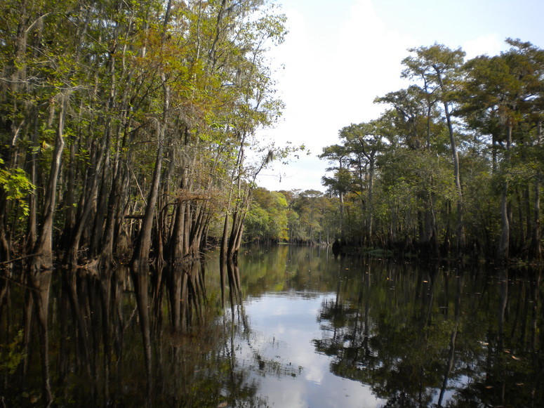 Pee Dee River Blueway