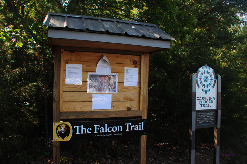 The Falcon Trail